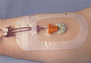 Introduction to SecurePortIV – HC21 Academy